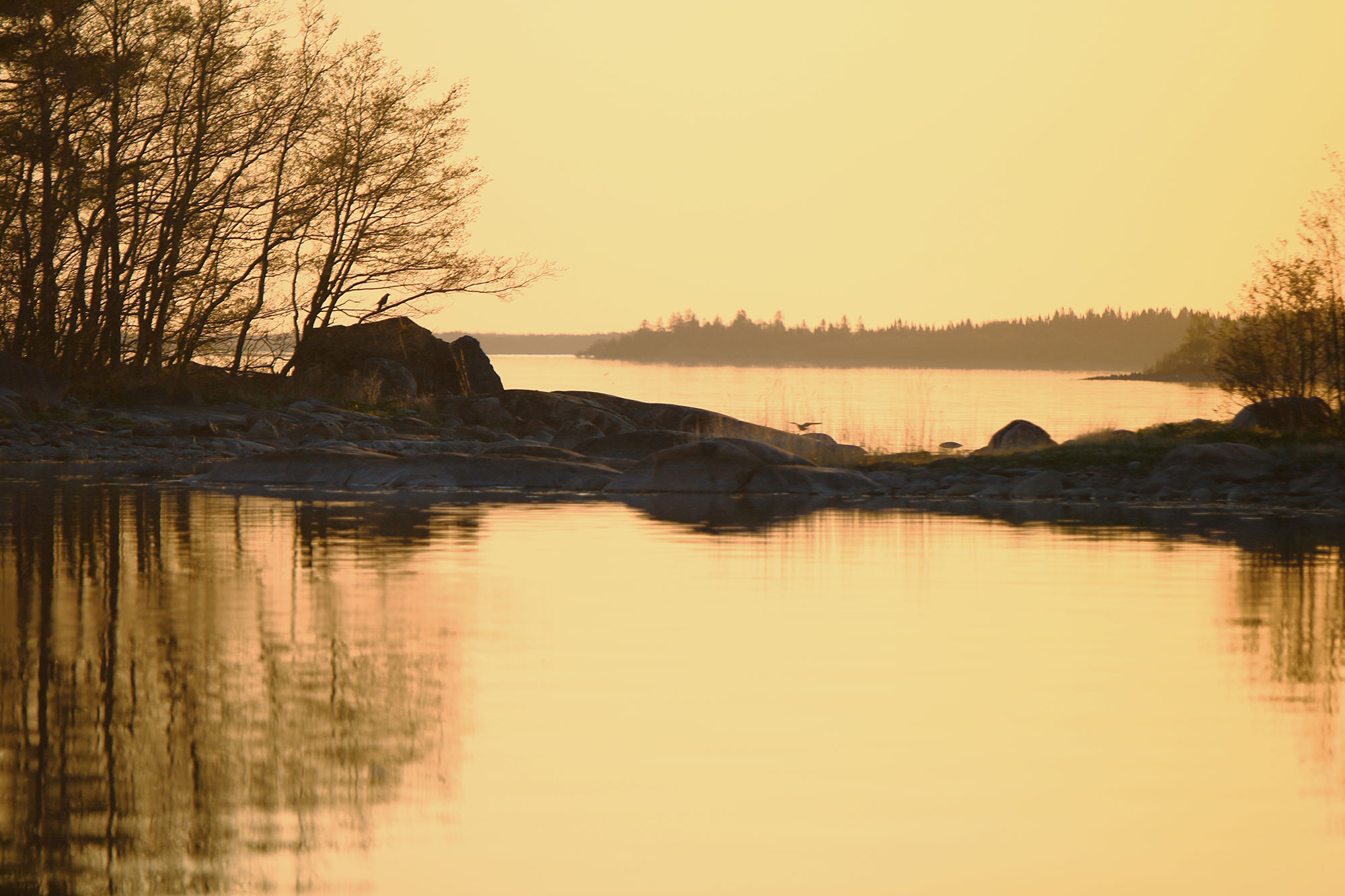 Mossala Island Resort - Come and enjoy nature!