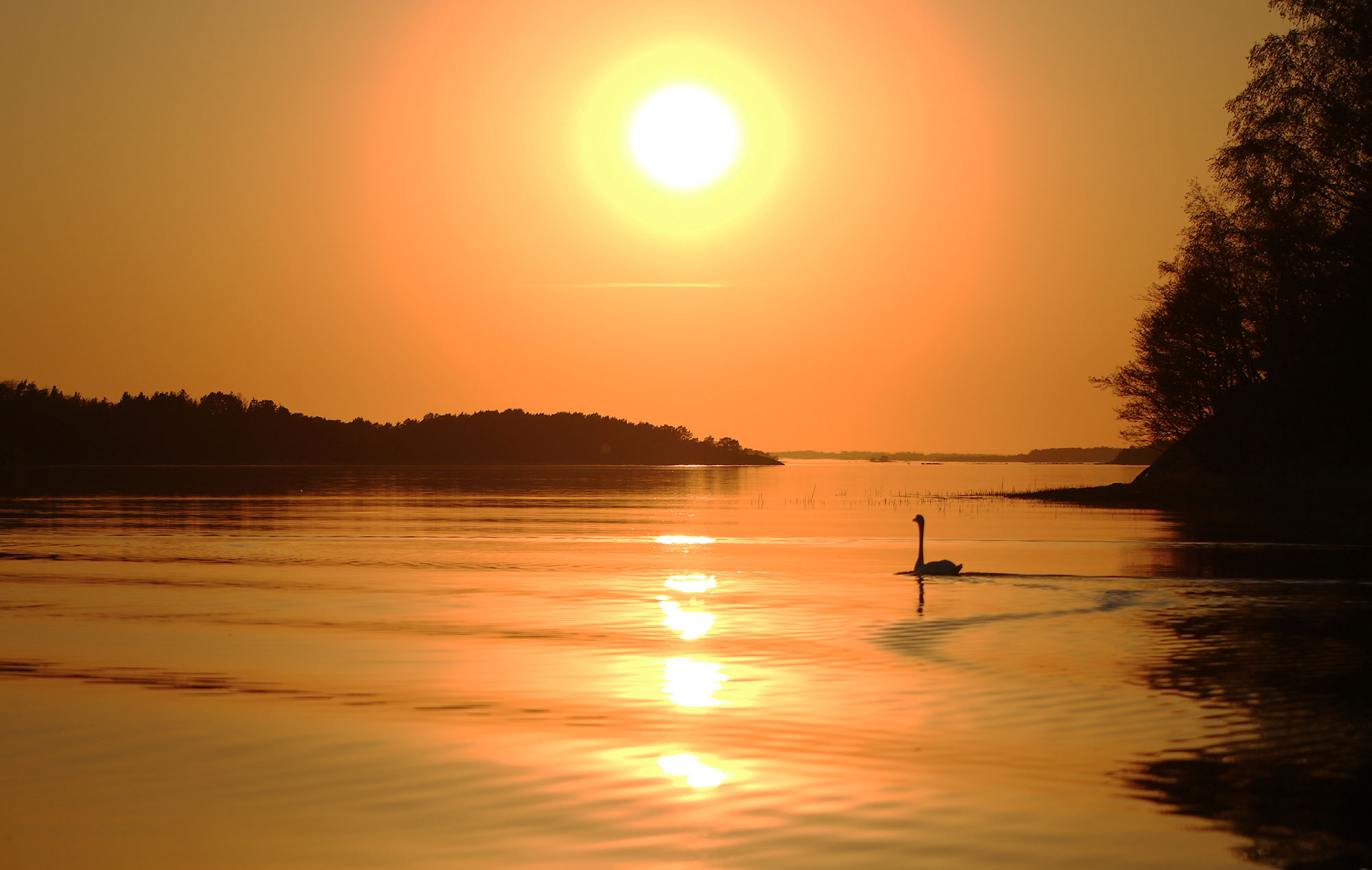 Mossala Island Resort - Come and enjoy nature!